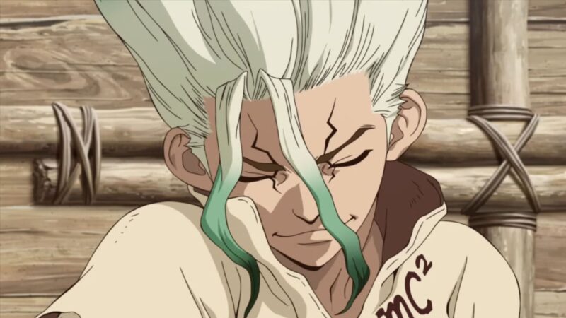 Dr. Stone Arcs Guide: All 14 Arcs in Order - Deltia's Gaming