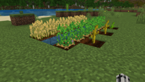 Minecraft: Best Beginner Tips and Tricks for Farming - Deltia's Gaming