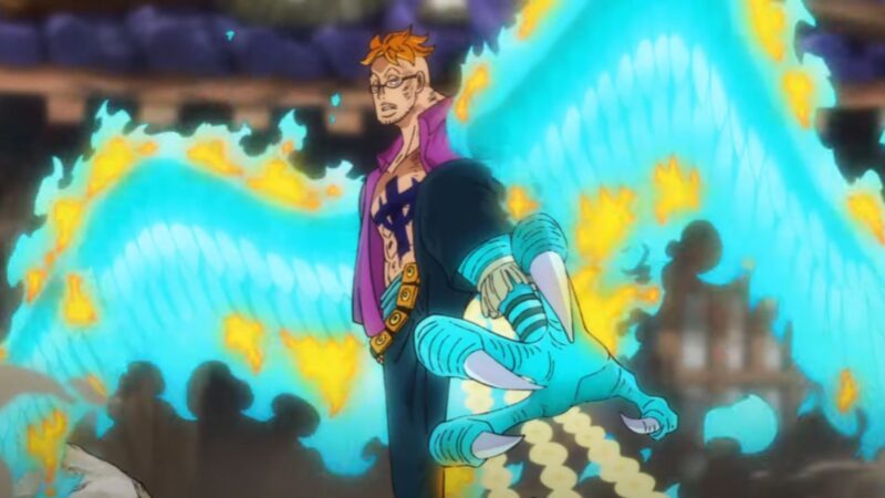 10 Strongest One Piece Characters Who Don’t Have Conqueror’s Haki ...