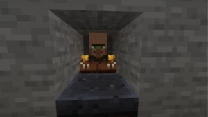 Minecraft: All Villager Jobs, Explained - Deltia's Gaming