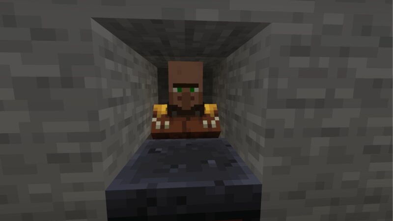 Minecraft: All Villager Jobs, Explained - Deltia's Gaming