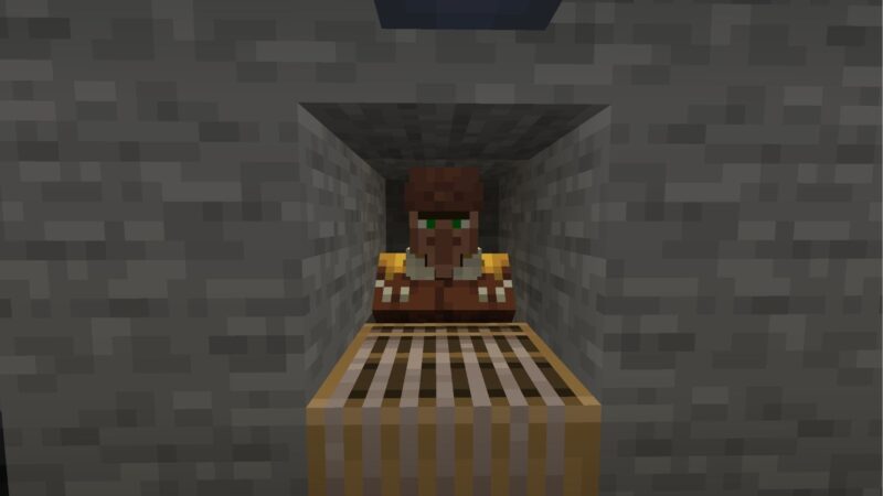 Minecraft: All Villager Jobs, Explained - Deltia's Gaming