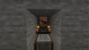 Minecraft: All Villager Jobs, Explained - Deltia's Gaming