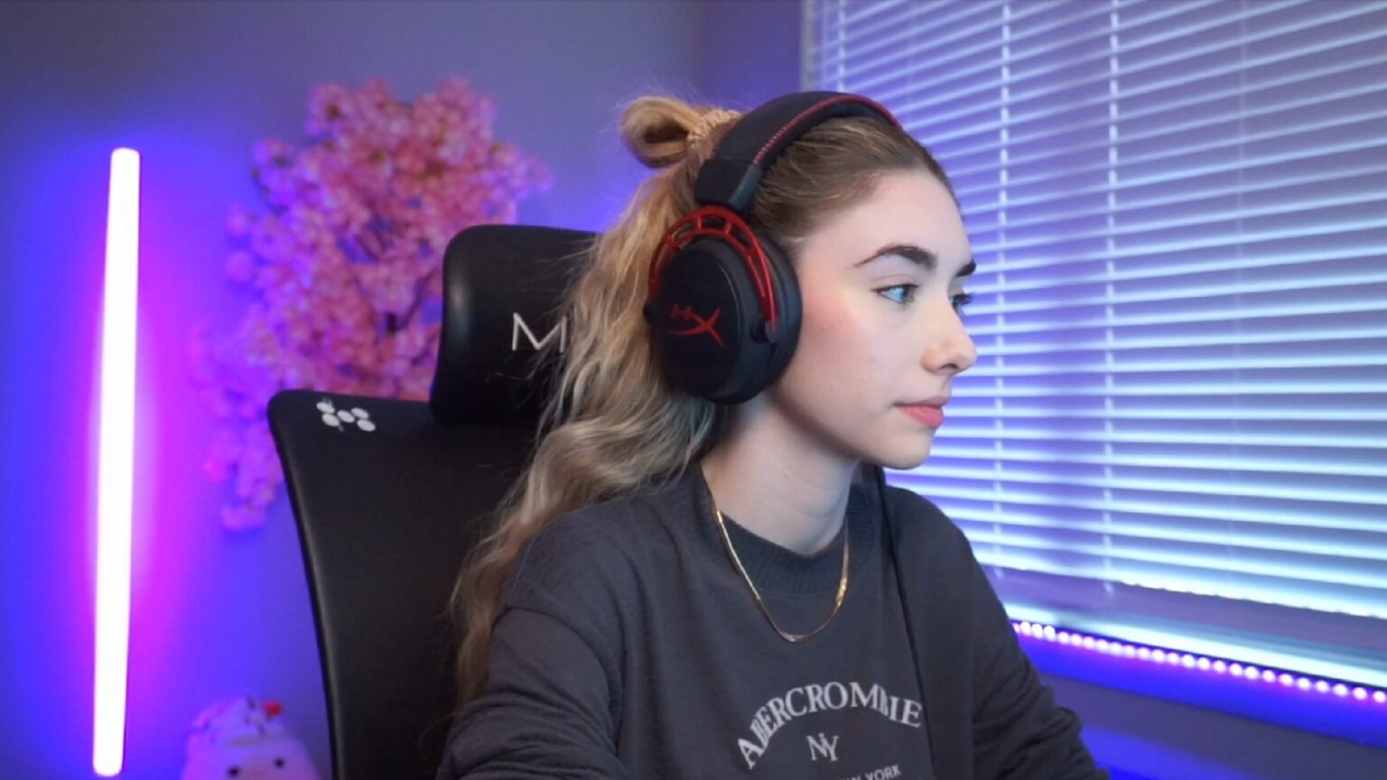 Why Did Streamer Sommerset Get Banned From Fortnite? - Deltia's Gaming