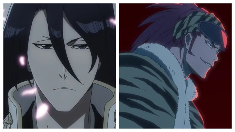 The Gotei 13 in Bleach: A Complete Guide - Deltia's Gaming