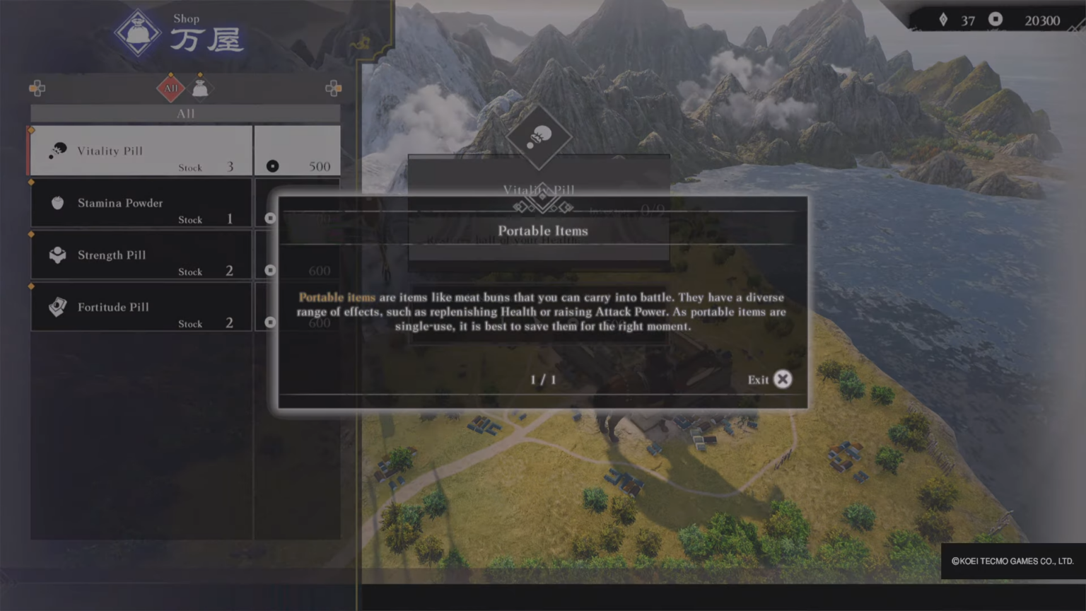 What Are Portable Items in Dynasty Warriors Origins? - Deltia's Gaming