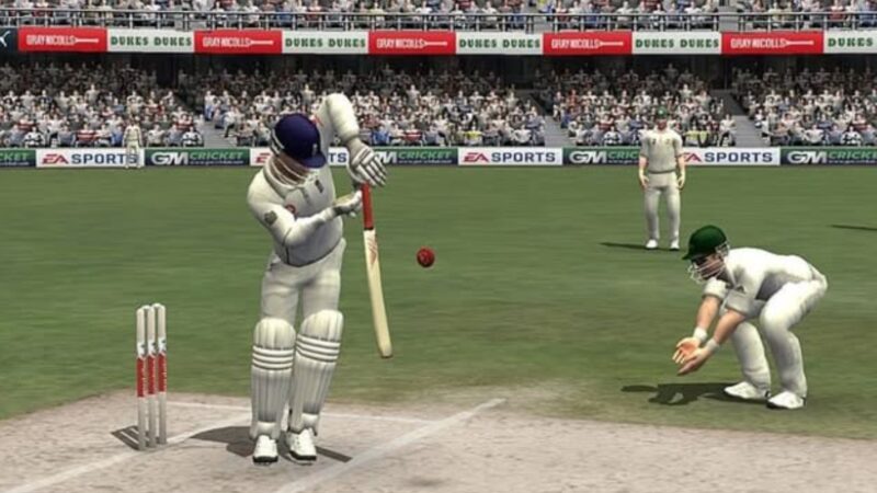 6 Best Cricket Video Games of All Time, Ranked - Deltia's Gaming