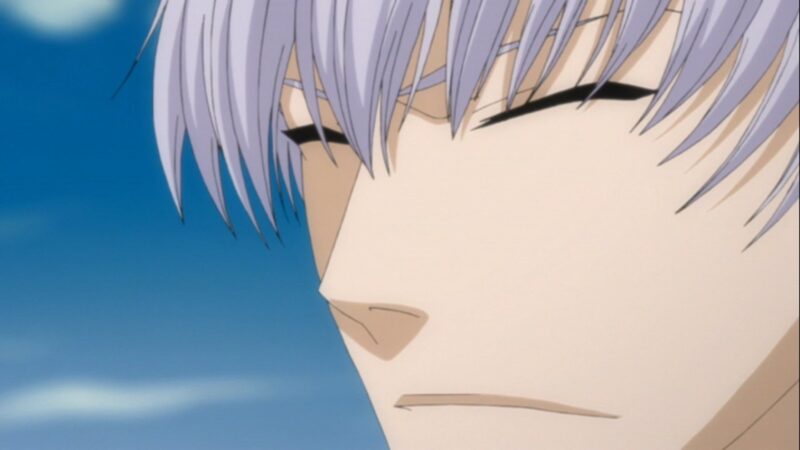 The Gotei 13 in Bleach: A Complete Guide - Deltia's Gaming