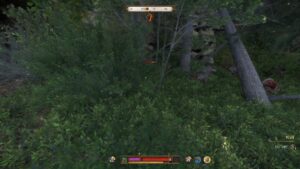 How to Hunt in Kingdom Come: Deliverance 2 - Deltia's Gaming