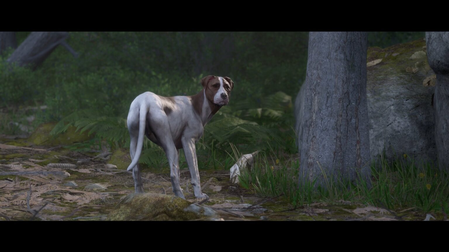 How to Complete Mutt Quest in Kingdom Come: Deliverance 2 - Deltia's Gaming