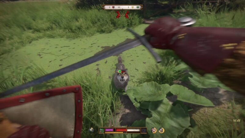 How to Hunt in Kingdom Come: Deliverance 2 - Deltia's Gaming