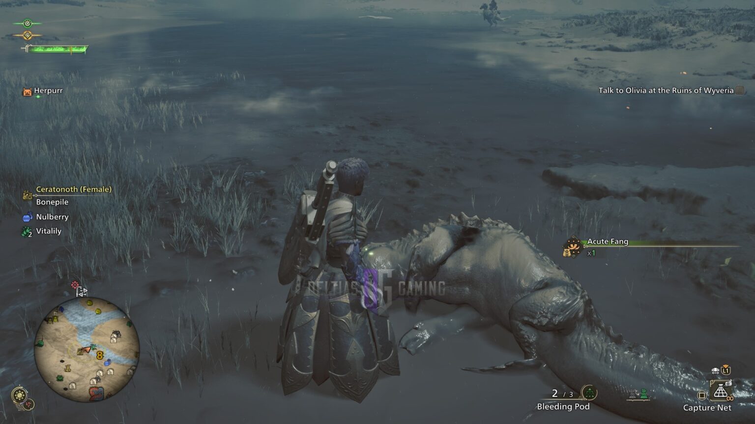 Monster Hunter Wilds: How To Get Acute Fang - Deltia's Gaming