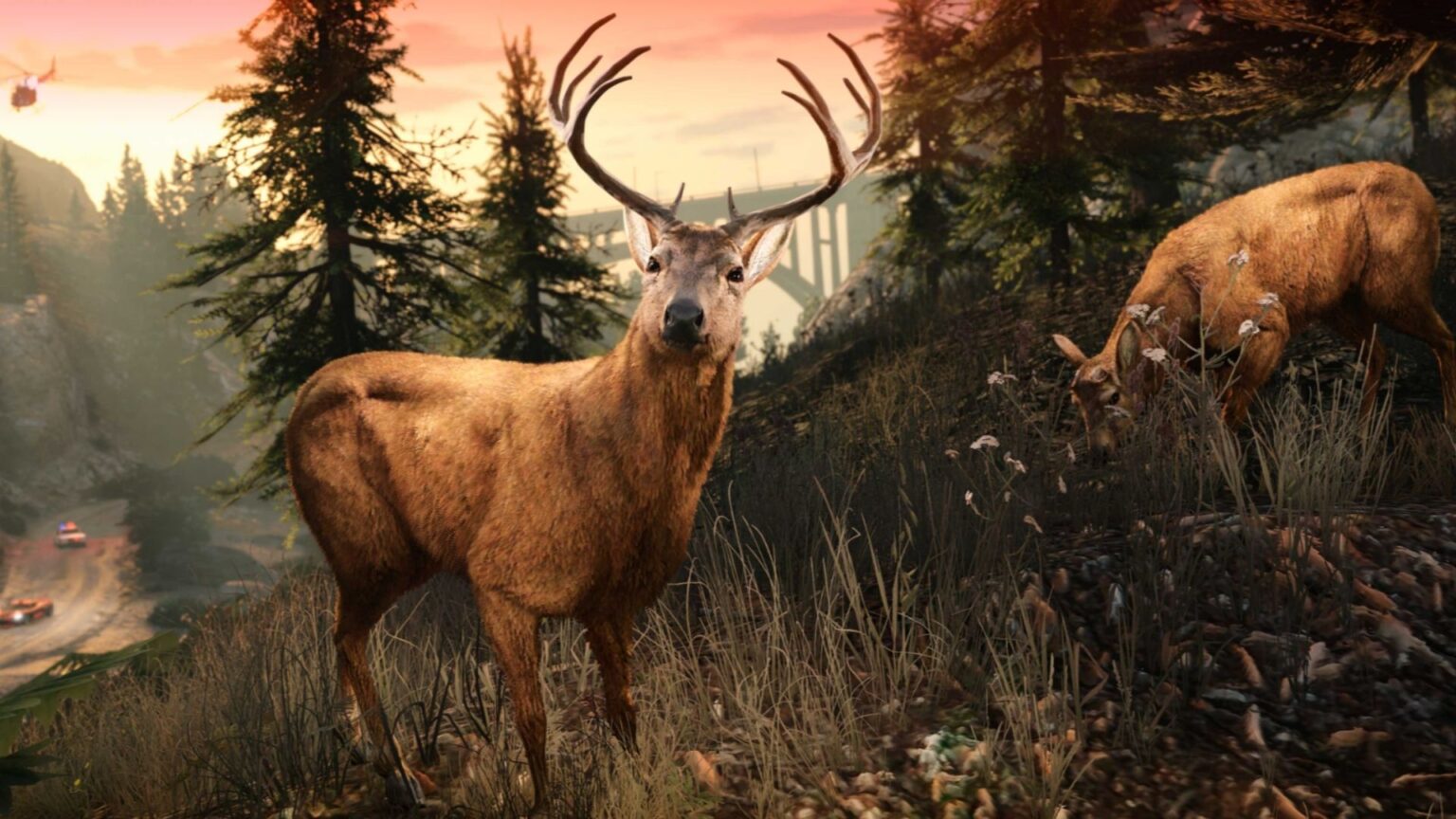 GTA Online Enhanced: All Animal Locations For Shoot Animals Photography ...