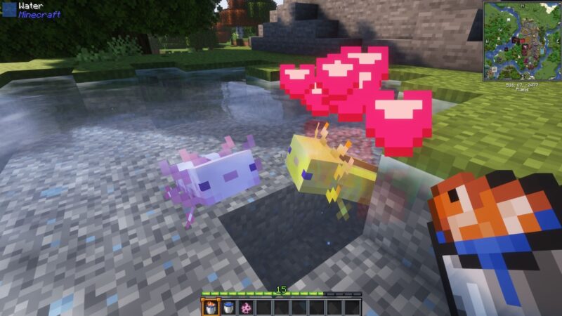 How To Summon Blue Axolotl in All Minecraft Versions - Deltia's Gaming