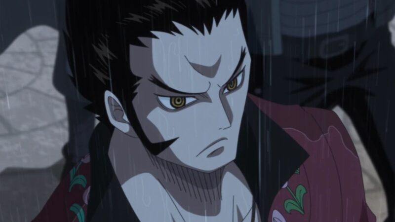 Mihawk or Crocodile: Whose Origin Intrigues One Piece Fans the Most ...