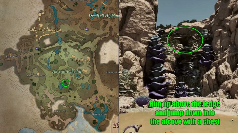 How to Get Unique Robes of Surpassing Brilliance in Avowed - Deltia's ...