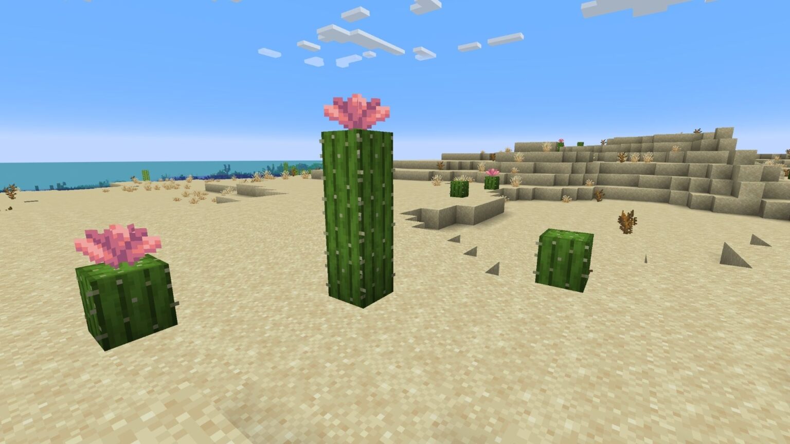 How To Get Cactus Flower in Minecraft? - Deltia's Gaming
