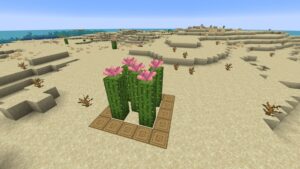 How To Get Cactus Flower in Minecraft? - Deltia's Gaming