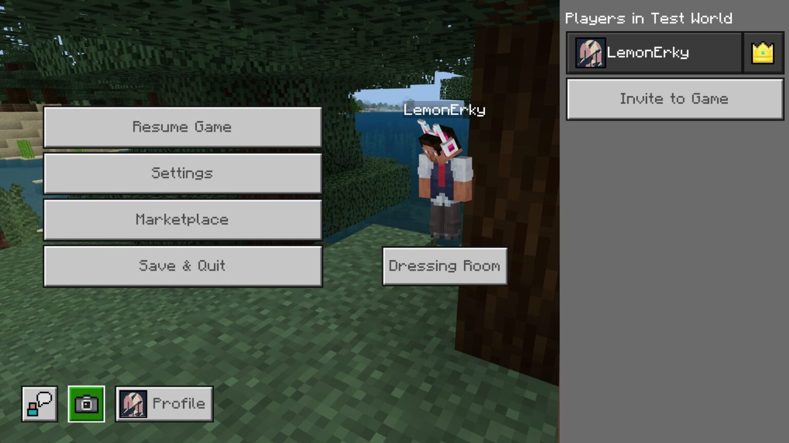 How To Take a Screenshot in Minecraft? - Deltia's Gaming