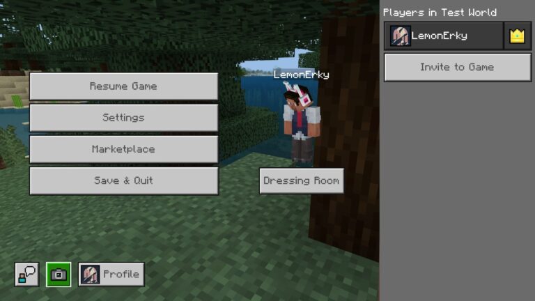 How To Take a Screenshot in Minecraft? - Deltia's Gaming