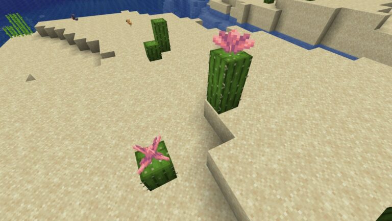 How To Get Cactus Flower in Minecraft? - Deltia's Gaming