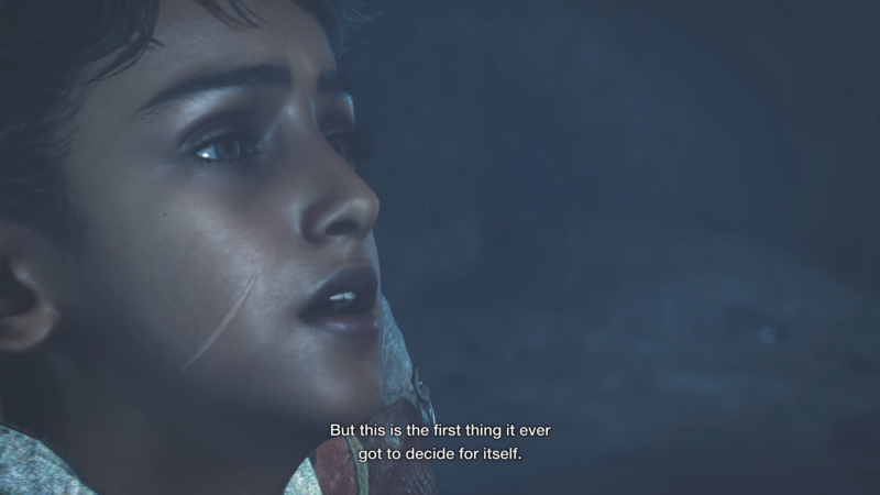 Nata Character and Location Guide | Monster Hunter Wilds - Deltia's Gaming