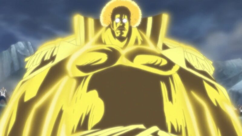 8 Strongest One Piece Characters Who Don’t Use Any Weapons, Ranked ...