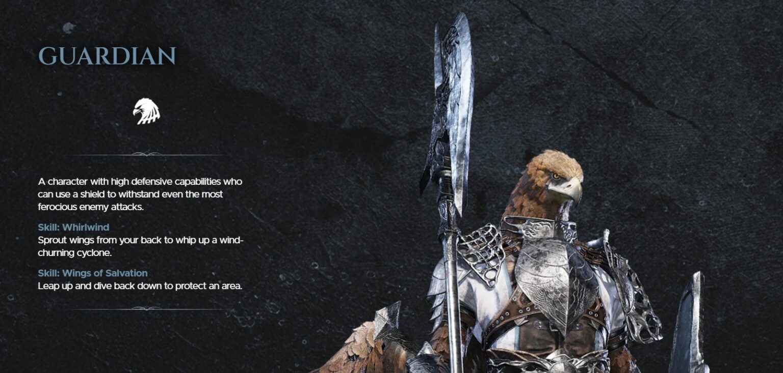 All Elden Ring Nightreign Classes Explained - Deltia's Gaming