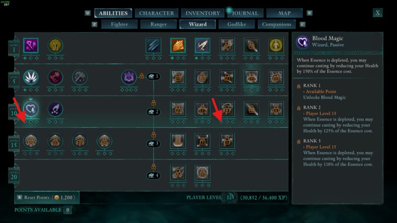 Best Avowed Wizard Build - Deltia's Gaming
