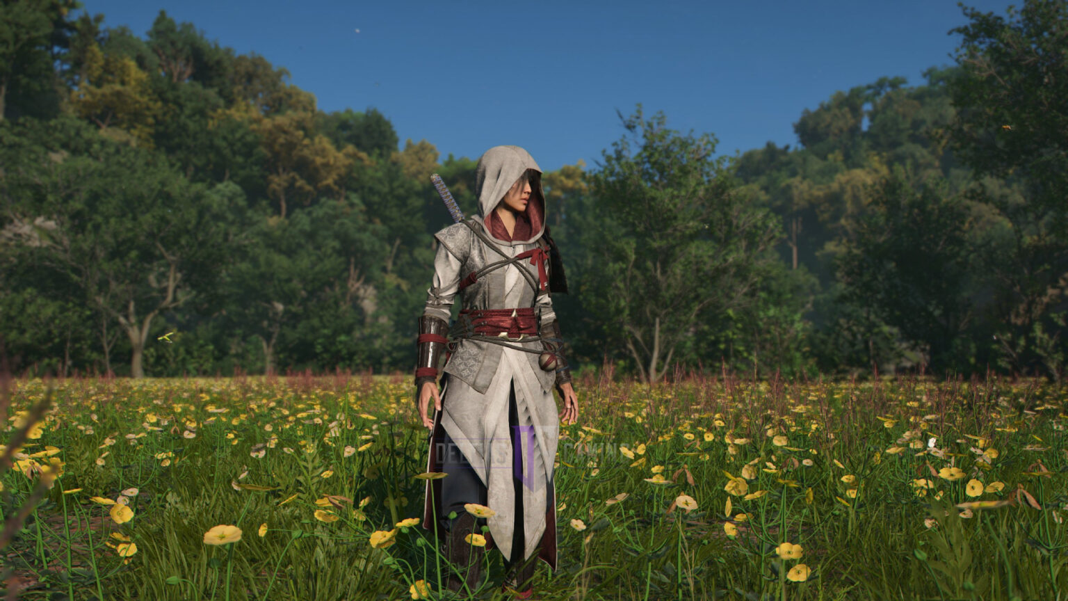 Best Naoe Build Guide For Assassin's Creed Shadows - Deltia's Gaming