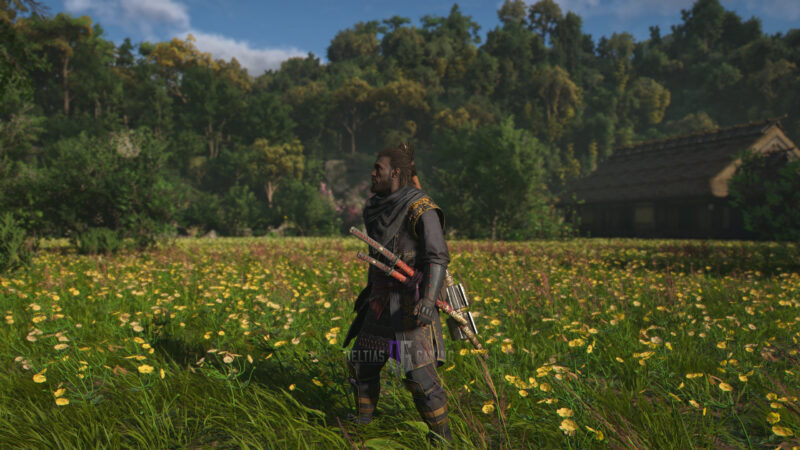Best Yasuke Build Guide For Assassin's Creed Shadows - Deltia's Gaming
