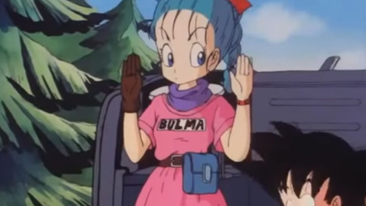 How Old is Bulma in Dragon Ball? - Deltia's Gaming