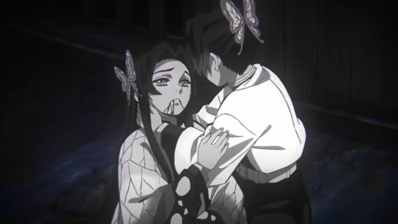 How Old Is Shinobu Kocho in Demon Slayer? - Deltia's Gaming