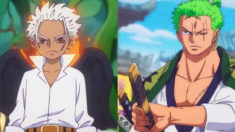 One Piece Fights Explained: Zoro Vs. S Hawk - Deltia's Gaming