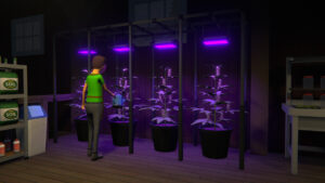 Schedule 1: Best Sweatshop Layout - Deltia's Gaming