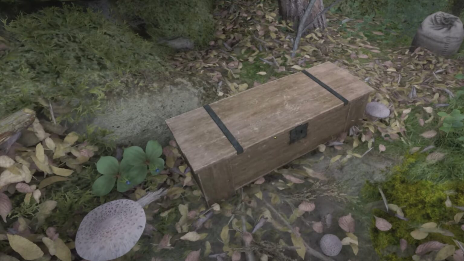 Where To Find the Tunnel in the Cliffs Map and Treasure in Kingdom Come ...