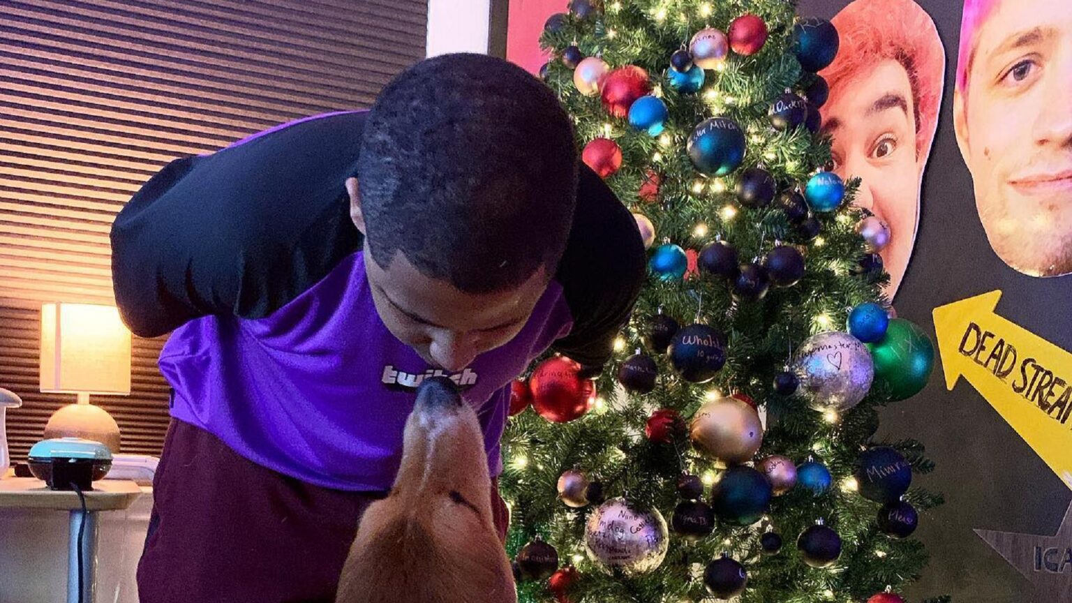 What Happened to Nmplol's Dog Kevin? Streamer Pays Emotional Tribute to ...