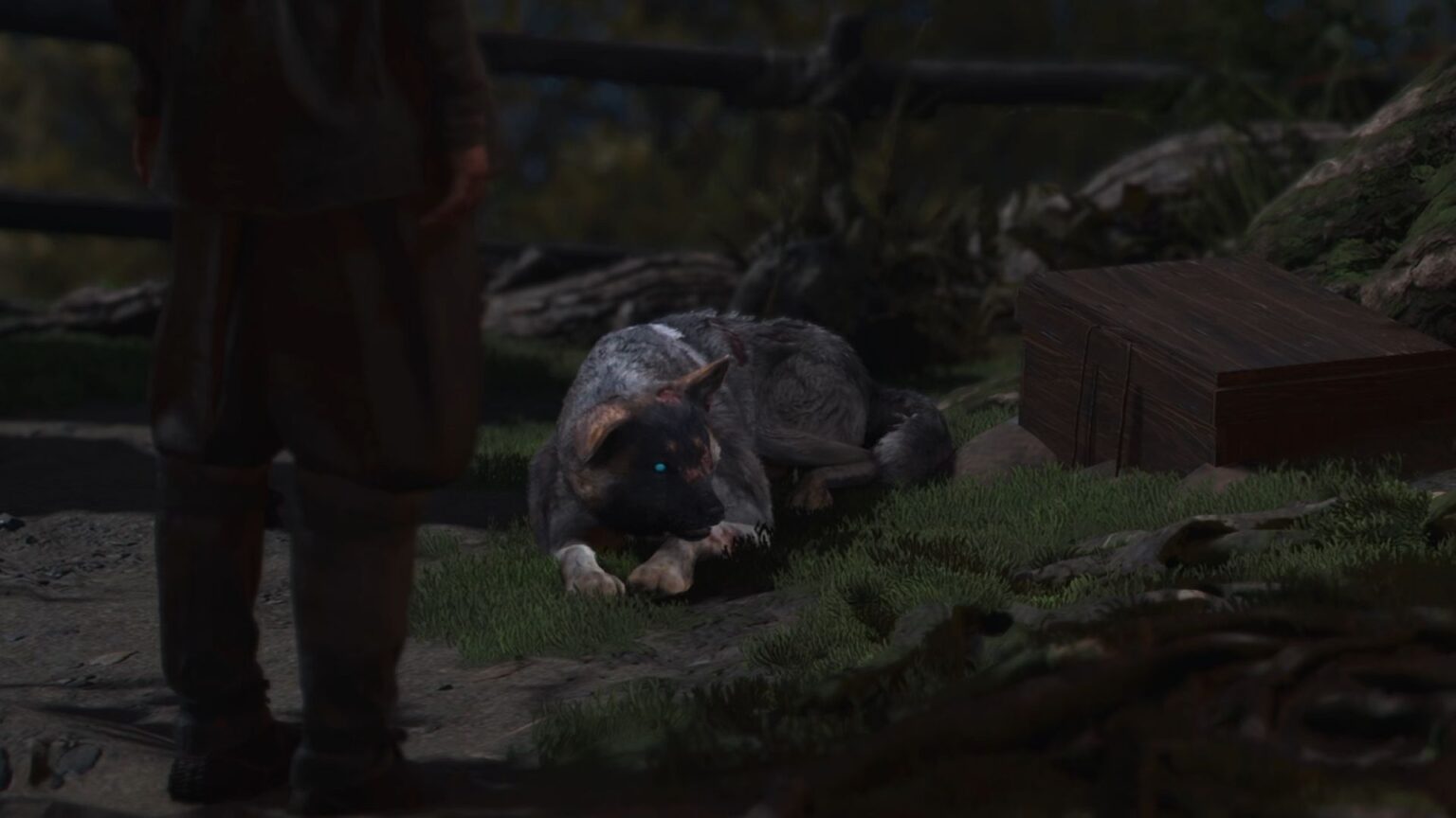 Assassin's Creed Shadows: How To Pet Dogs and Cats - Deltia's Gaming