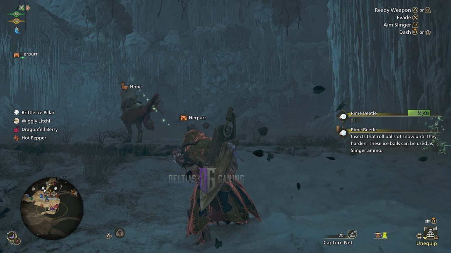 Monster Hunter Wilds: How To Capture Rime Beetle