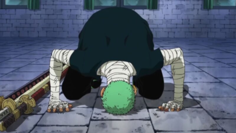 10 Best One Piece Arcs, Ranked - Deltia's Gaming