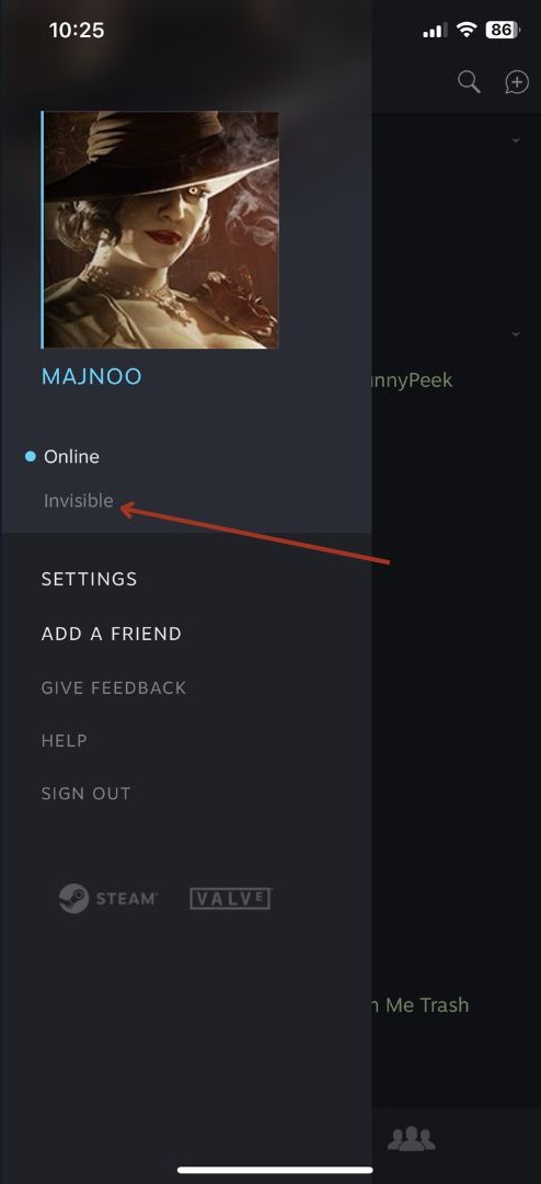 How To Enable Offline Mode on Steam - Deltia's Gaming