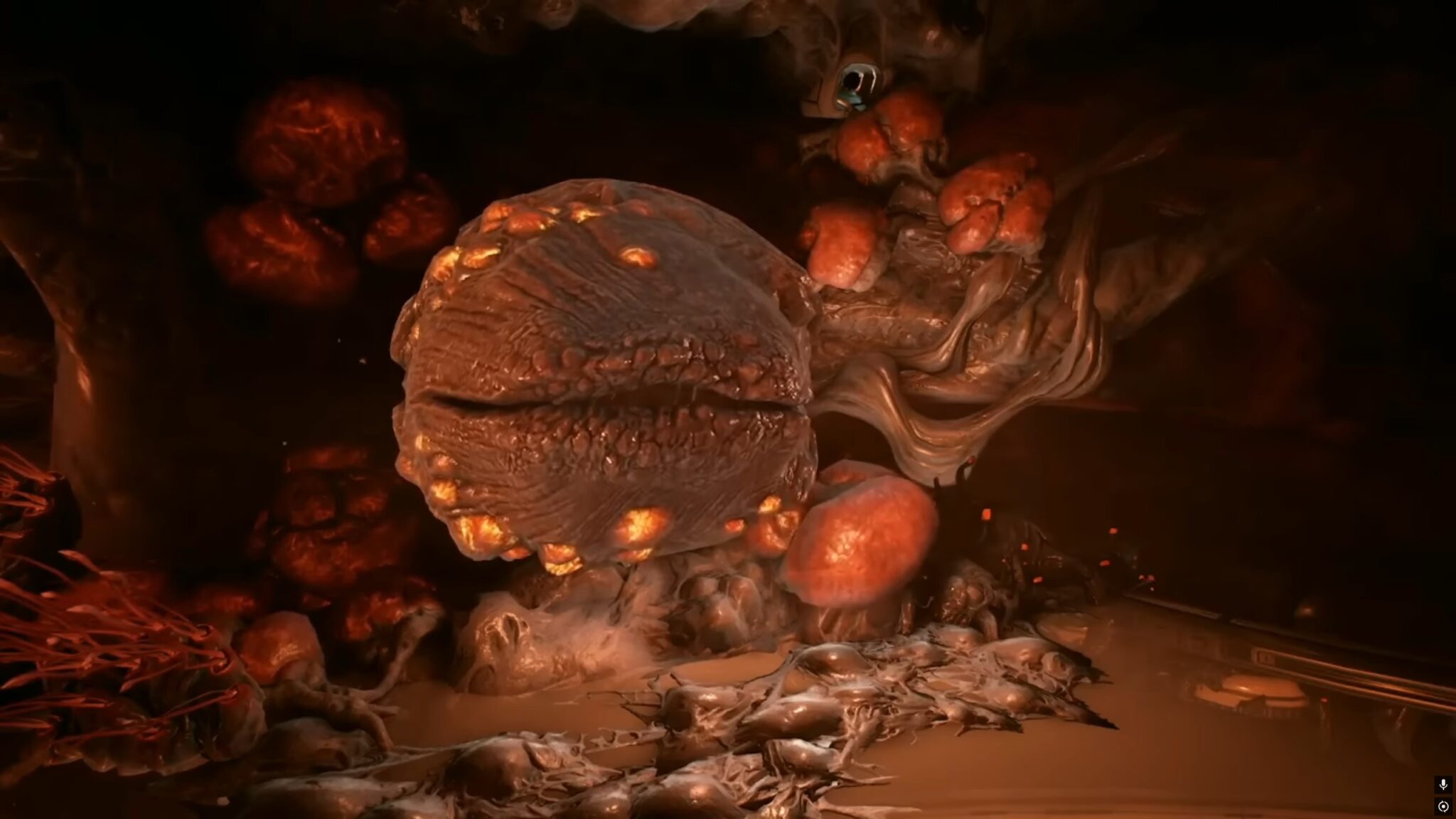 Warframe: Helminth Guide - Deltia's Gaming