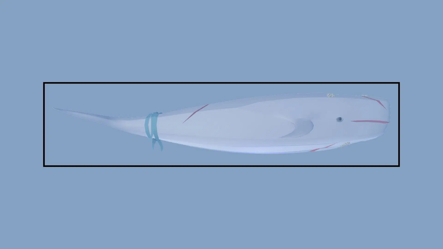 Fisch Roblox Guide: Which Bait Do Blue Whales Like?
