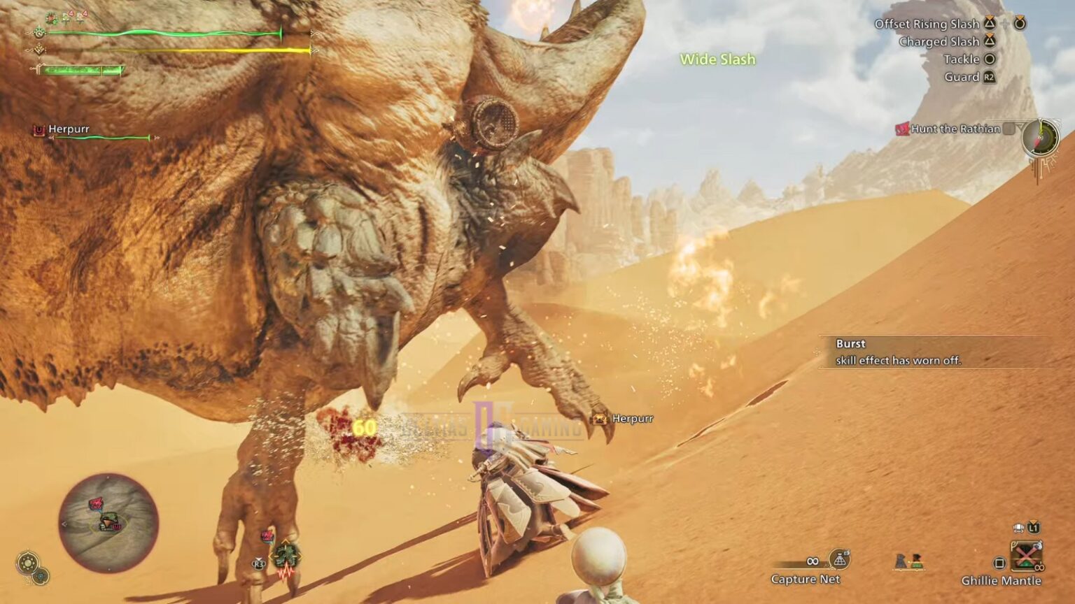 Monster Hunter Wilds: How To Beat Rathian (Weaknesses and Rewards ...