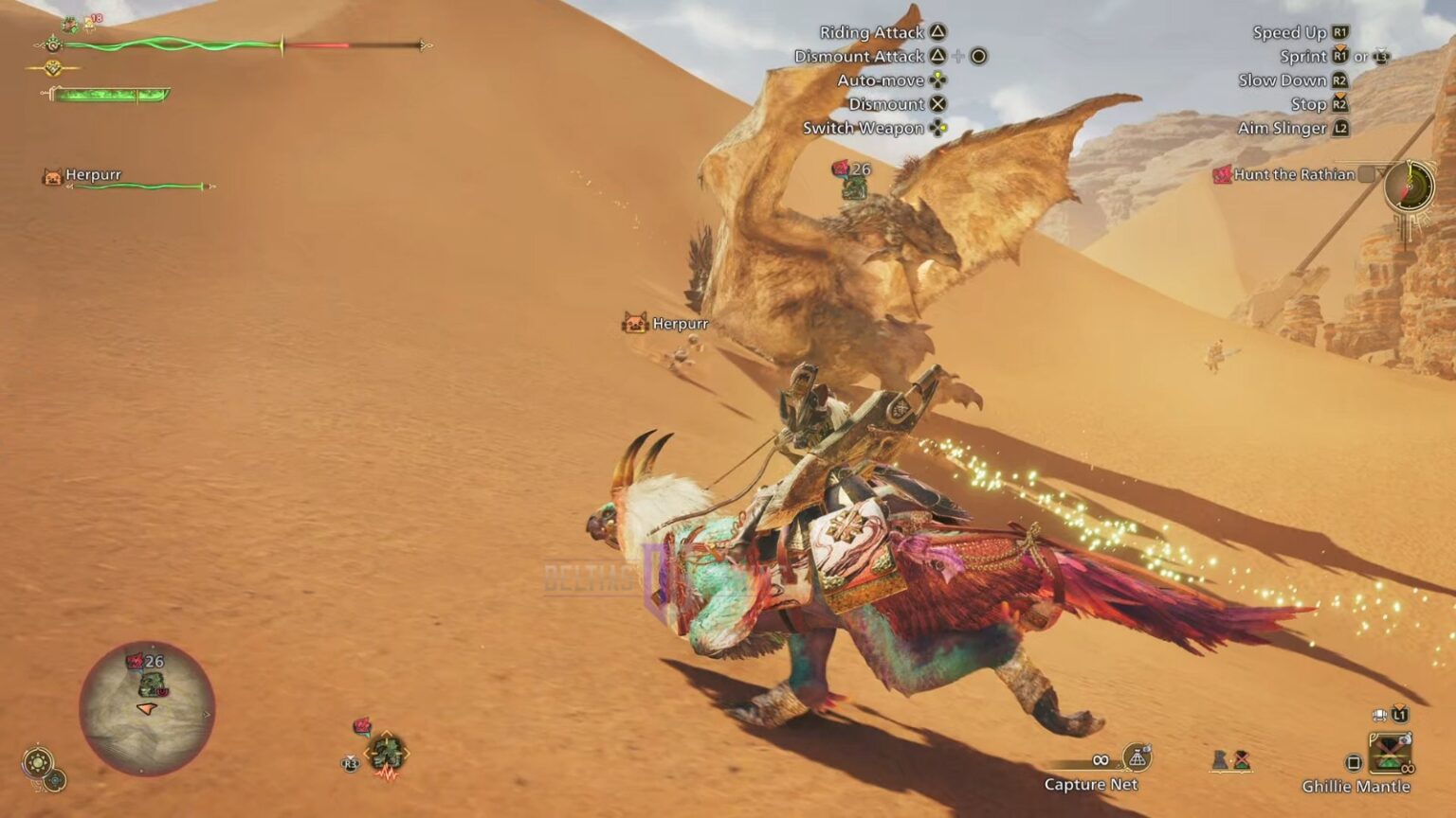 Monster Hunter Wilds: How To Beat Rathian (Weaknesses and Rewards ...