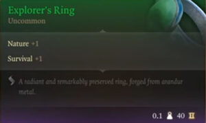 How to Get Explorer's Ring in Baldur's Gate 3? - Deltia's Gaming