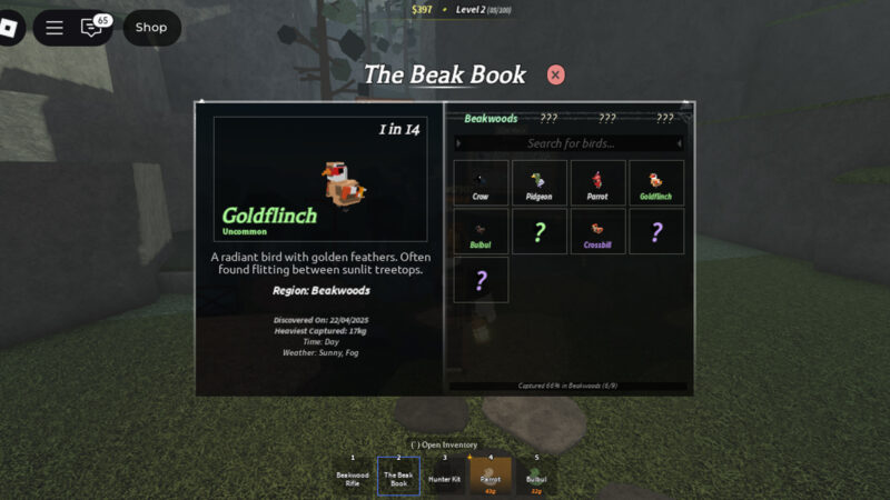 Beaks Roblox Guide: How To Catch All Birds and Complete the Bestiary ...