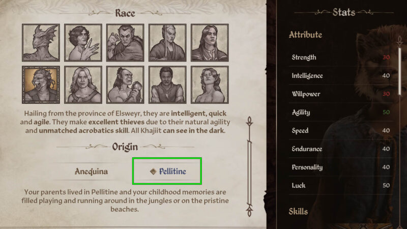 Elder Scrolls Oblivion Remastered: Best Monk Build - Deltia's Gaming