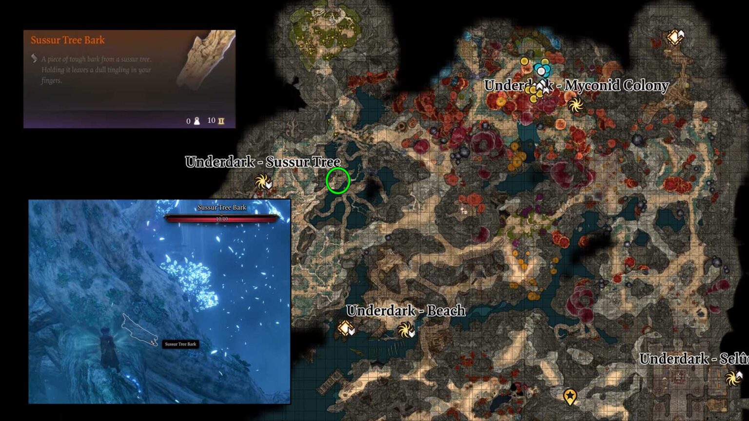 All Sussur Weapons in Baldur's Gate 3 - Deltia's Gaming