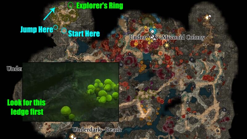 How to Get Explorer's Ring in Baldur's Gate 3? - Deltia's Gaming